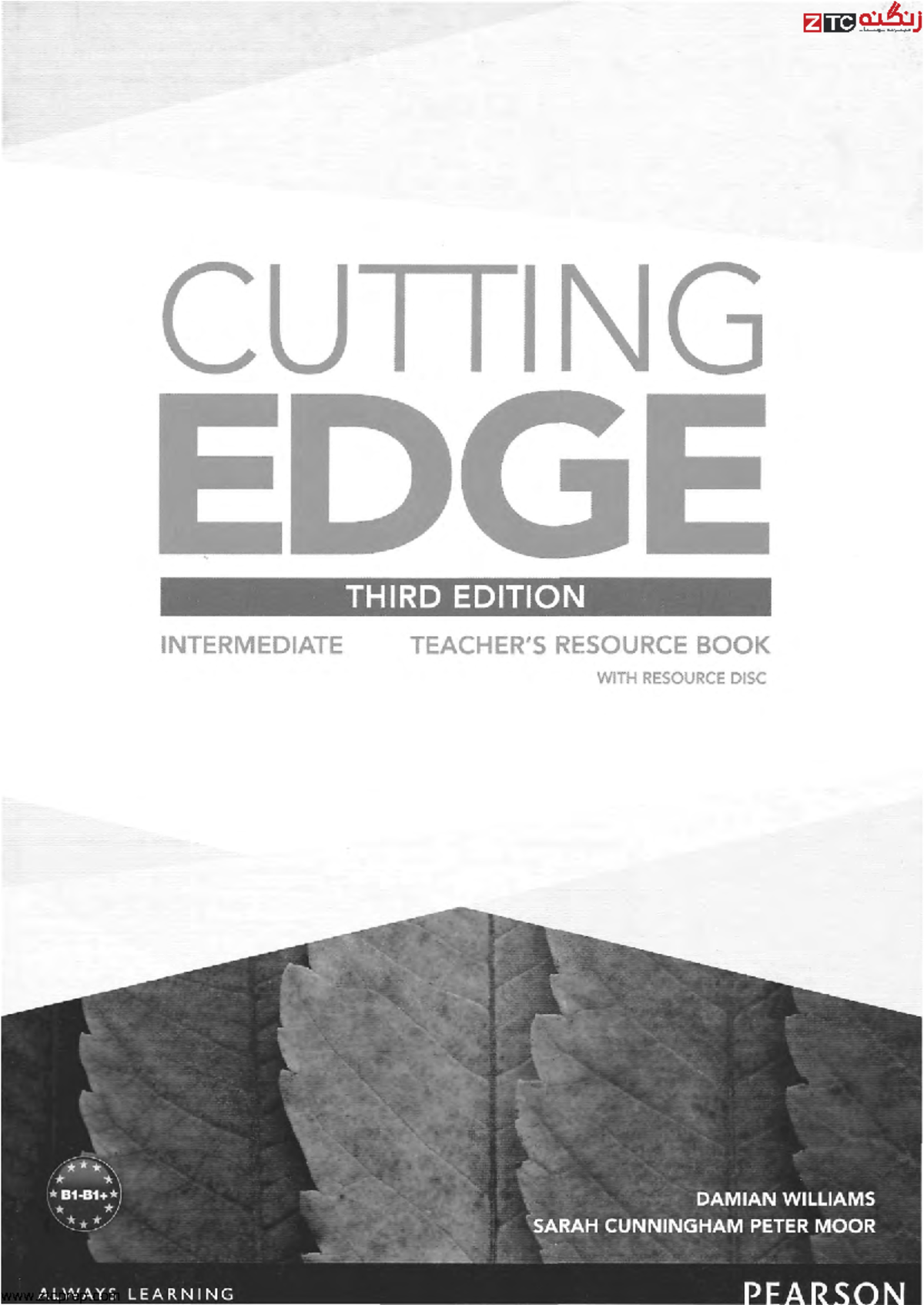Cutting Edge Intermediate teacherbook (www - THIRD EDITION INTERMEDIATE TEACHER'S RESOURCE BOOK ...