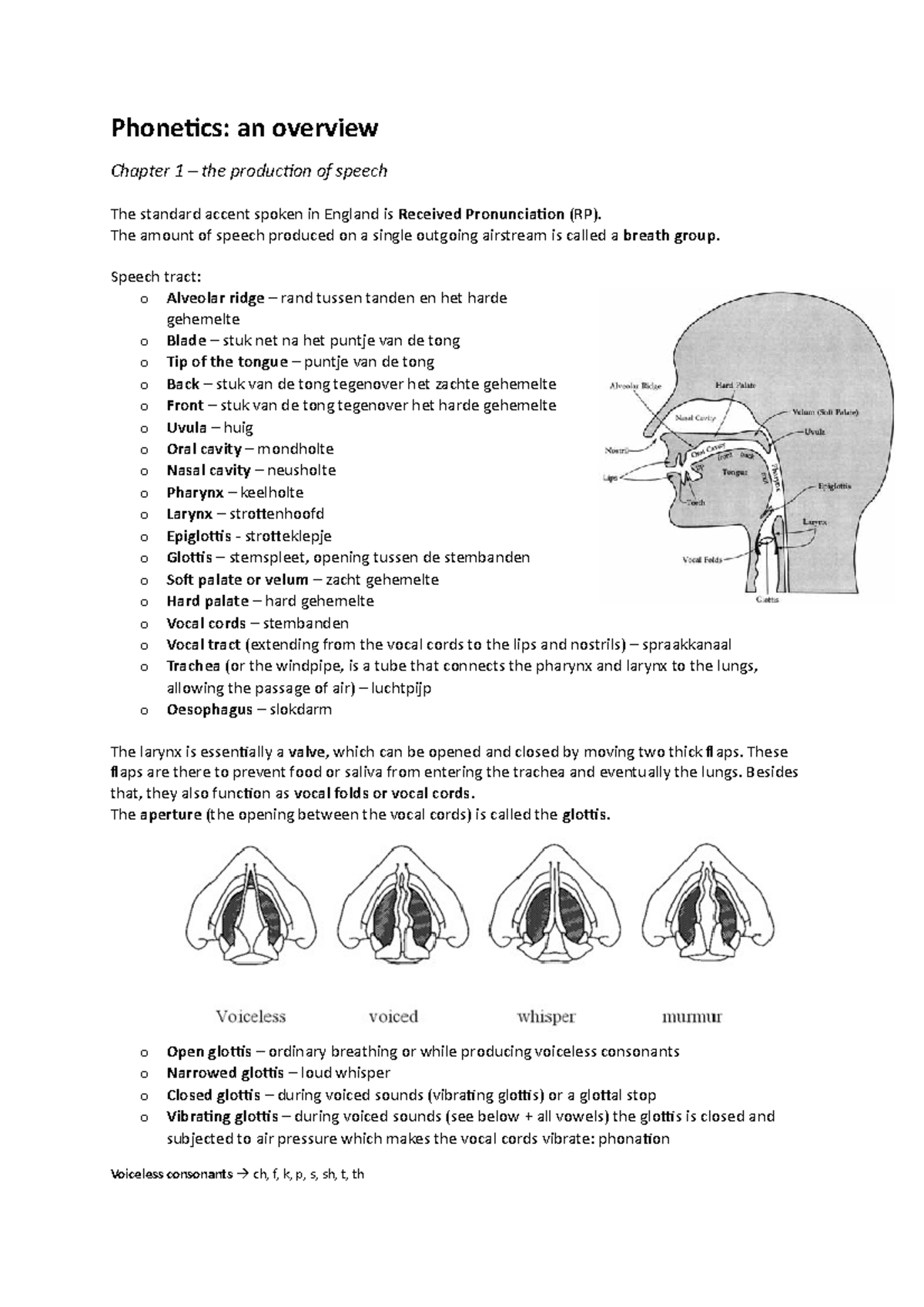 PhoneticsConsonantsPhonemesOverview - Phonetics: an overview Chapter 1 ...