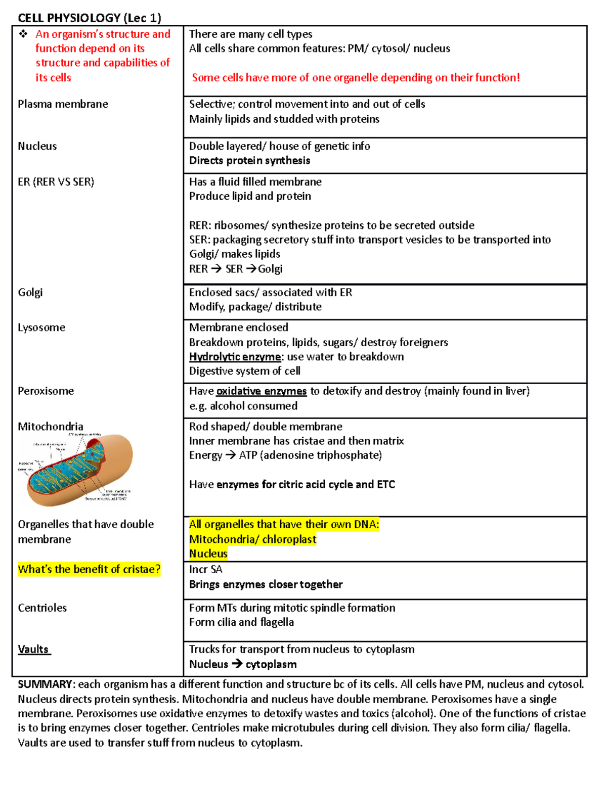 TEST 1 - test 1 material: cell physiology, glycolysis, cell junctions ...