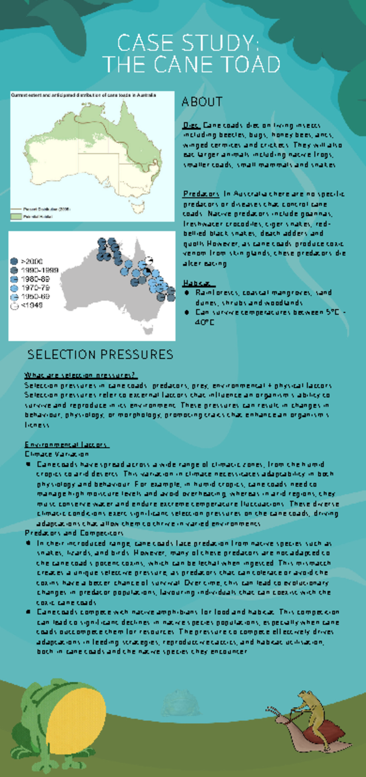 Cane Toads - CASE STUDY: THE CANE TOAD Diet: Cane toads diet on living ...