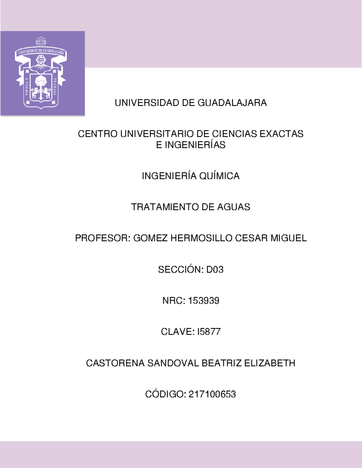 Diseño DE Tanque Y Proceso PARA Desinfección. Beatriz Elizabeth ...