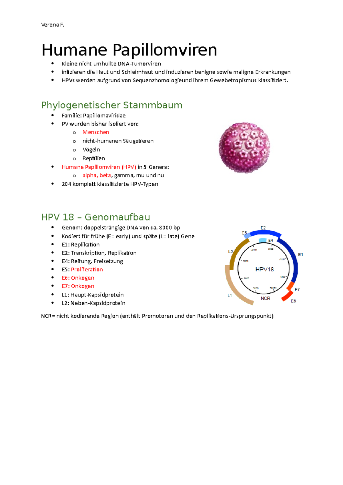 Humane Papillomviren Rki _ Humane Papillomviren Krebs – GVHI