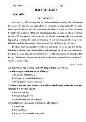 Tutorial 1 -SAD - tut - Tutorial 1: Review Object Oriented Programming concepts (*) You should ...