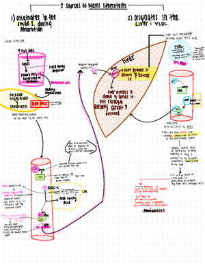 Chapter 11 Checklist - ch 11 study guide - Chapter 11 Checklist Can you ...
