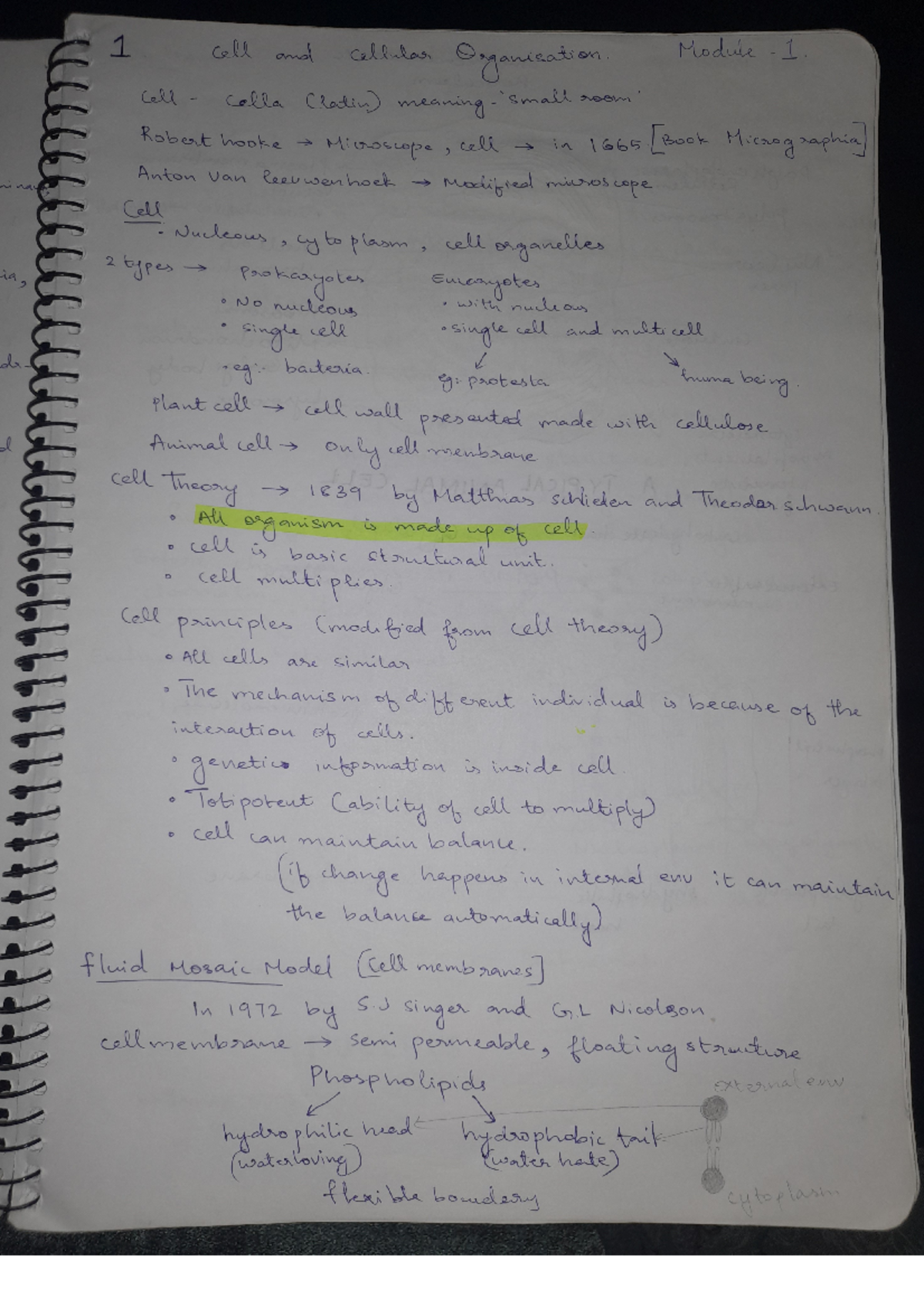 Cell and cellular organisations - Bsc psychology - Studocu