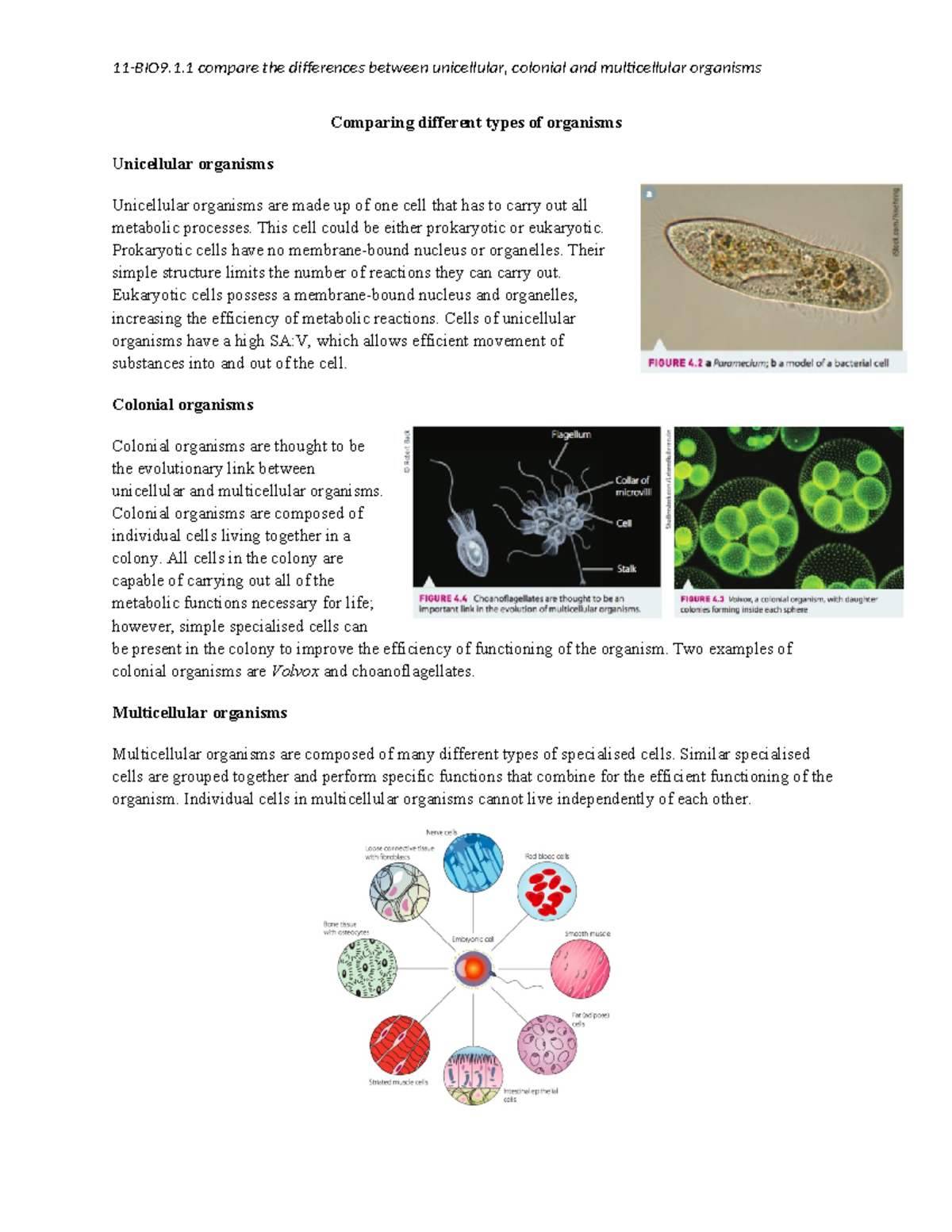 1. Comparing different types of organisms - 11-BIO9.1 compare the ...