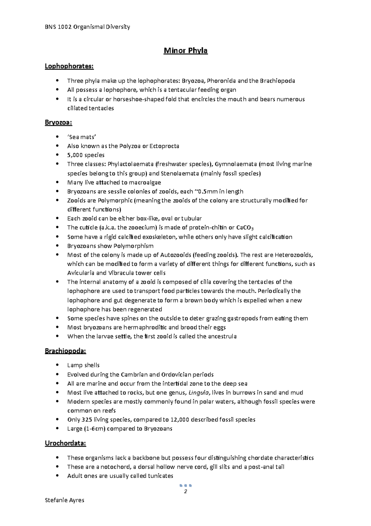 Lesson 19 - Minor Phyla - Lecture notes 19 - BNS 1002 Organismal ...