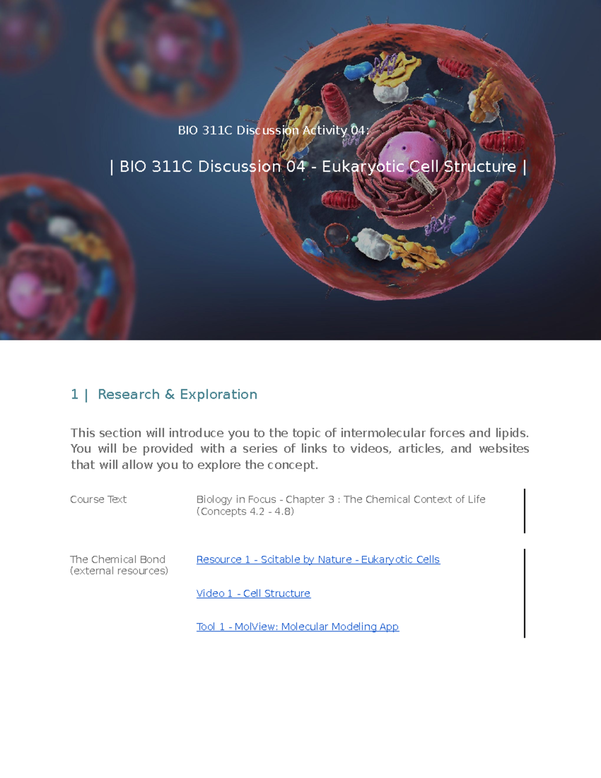 Practice Activity 04 - Cell str-function Spr23 - BIO 311C Discussion ...