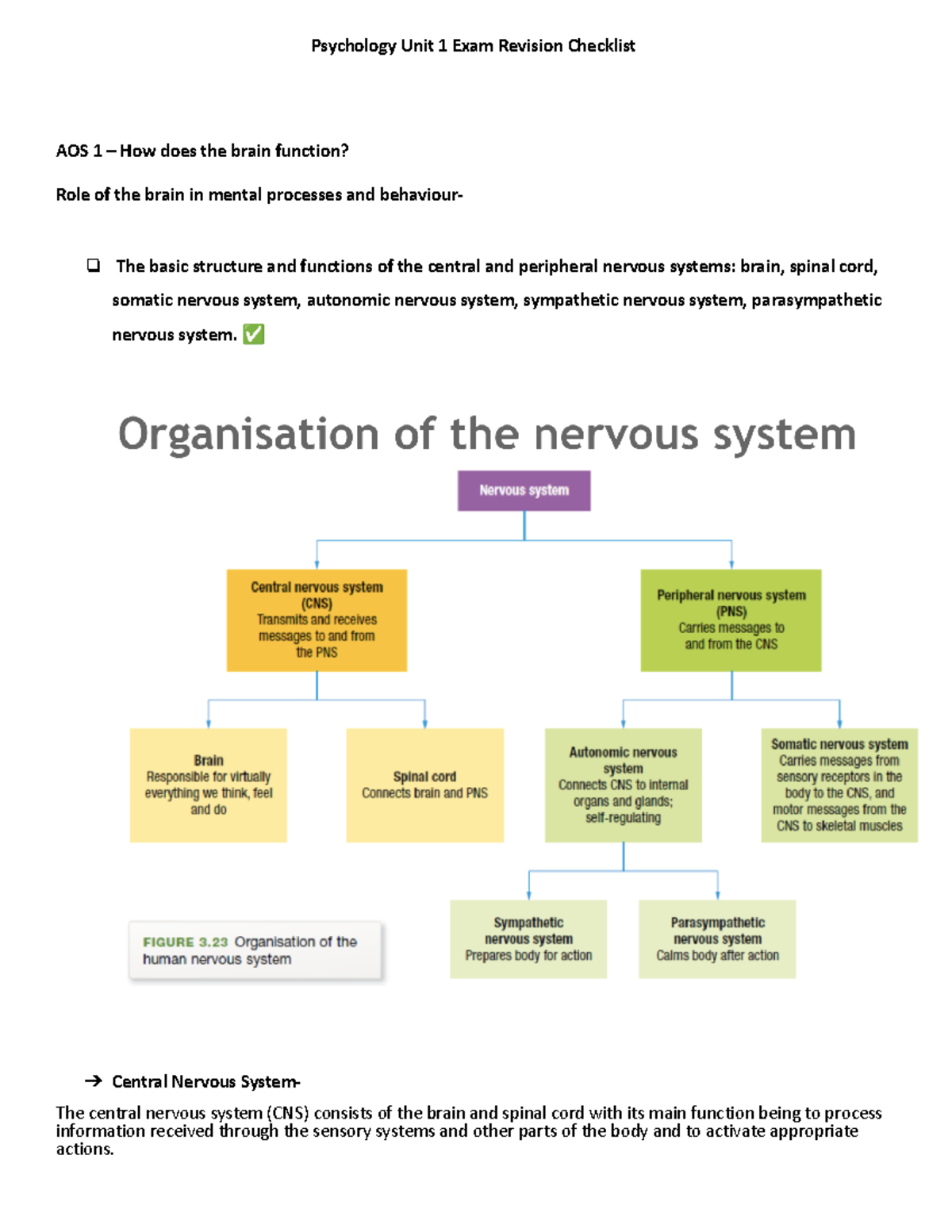 Psychology Unit 1 Exam Revision - Psychology Unit 1 Exam Revision ...