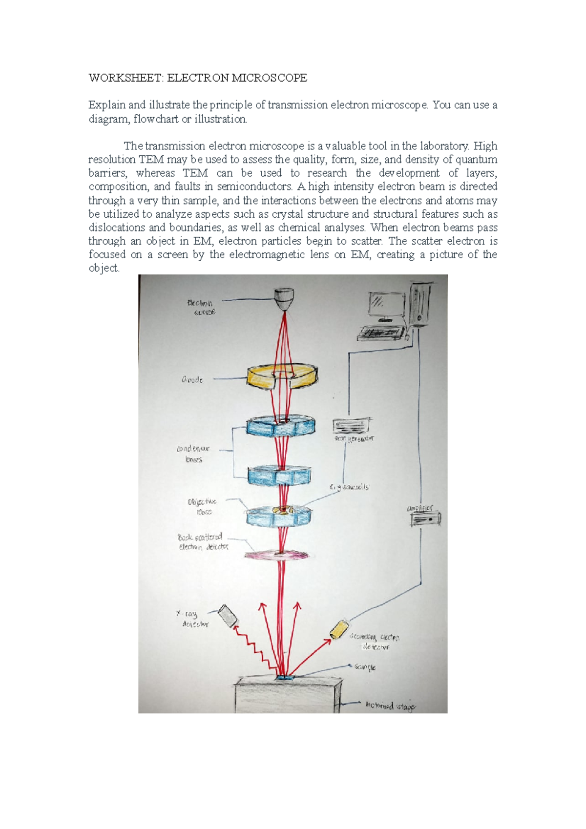 Worksheet Electron Microscope - WORKSHEET: ELECTRON MICROSCOPE Explain ...