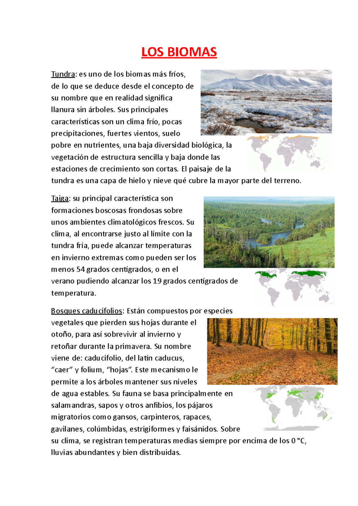 Los biomas (tipos) - LOS BIOMAS Tundra: es uno de los biomas más fríos ...