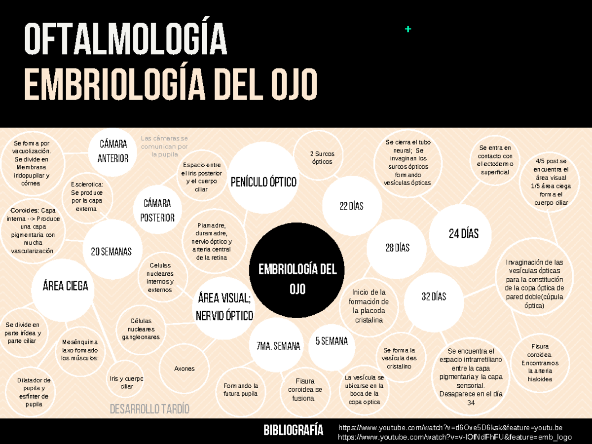 Embriología DE OJO - EMBRIOLOGIA DEL OJOS MAPA CONCEPTUAL ...