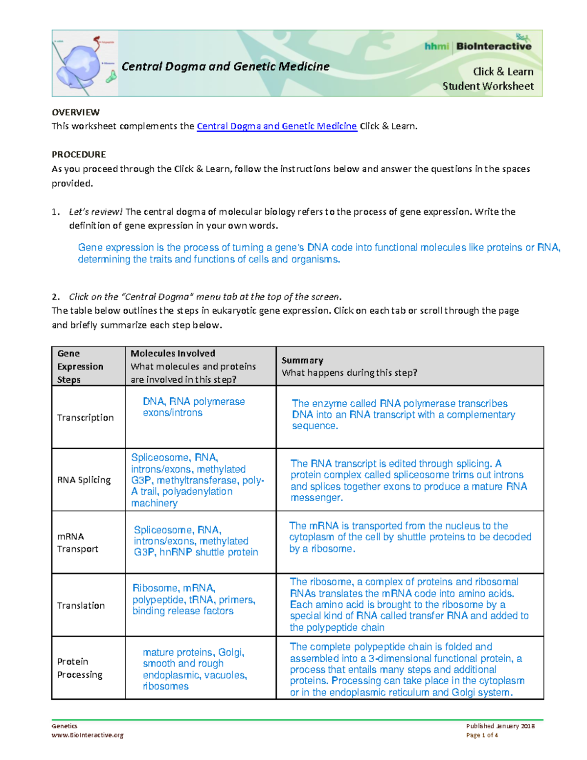 Central Dogma and Genetic Medicine - PROCEDURE As you proceed through ...