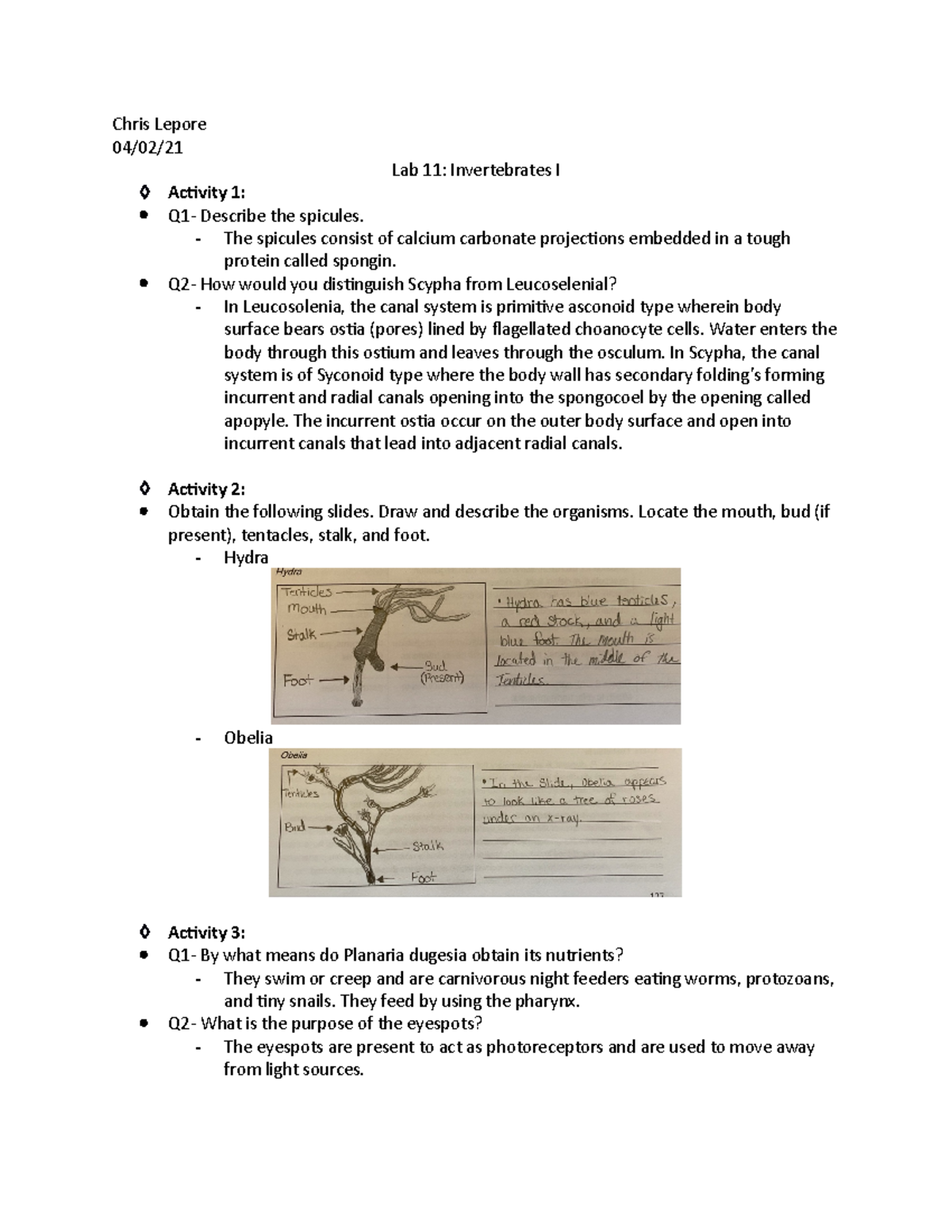 Lab11 Invertebrates 1 - Biology 2 Lab 11 With answers - Chris Lepore 04 ...