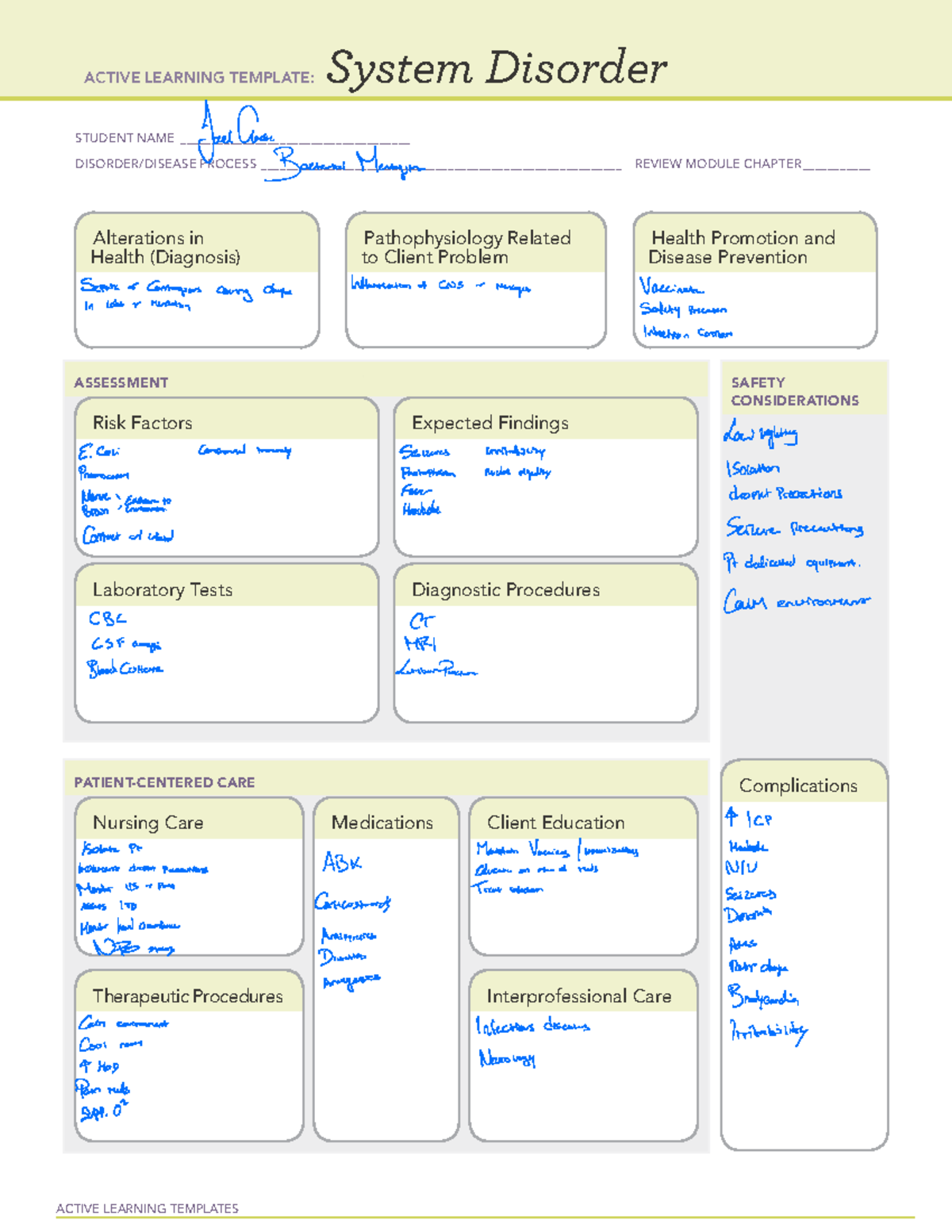 11d4 - tgtgg - ACTIVE LEARNING TEMPLATES System Disorder STUDENT NAME ...