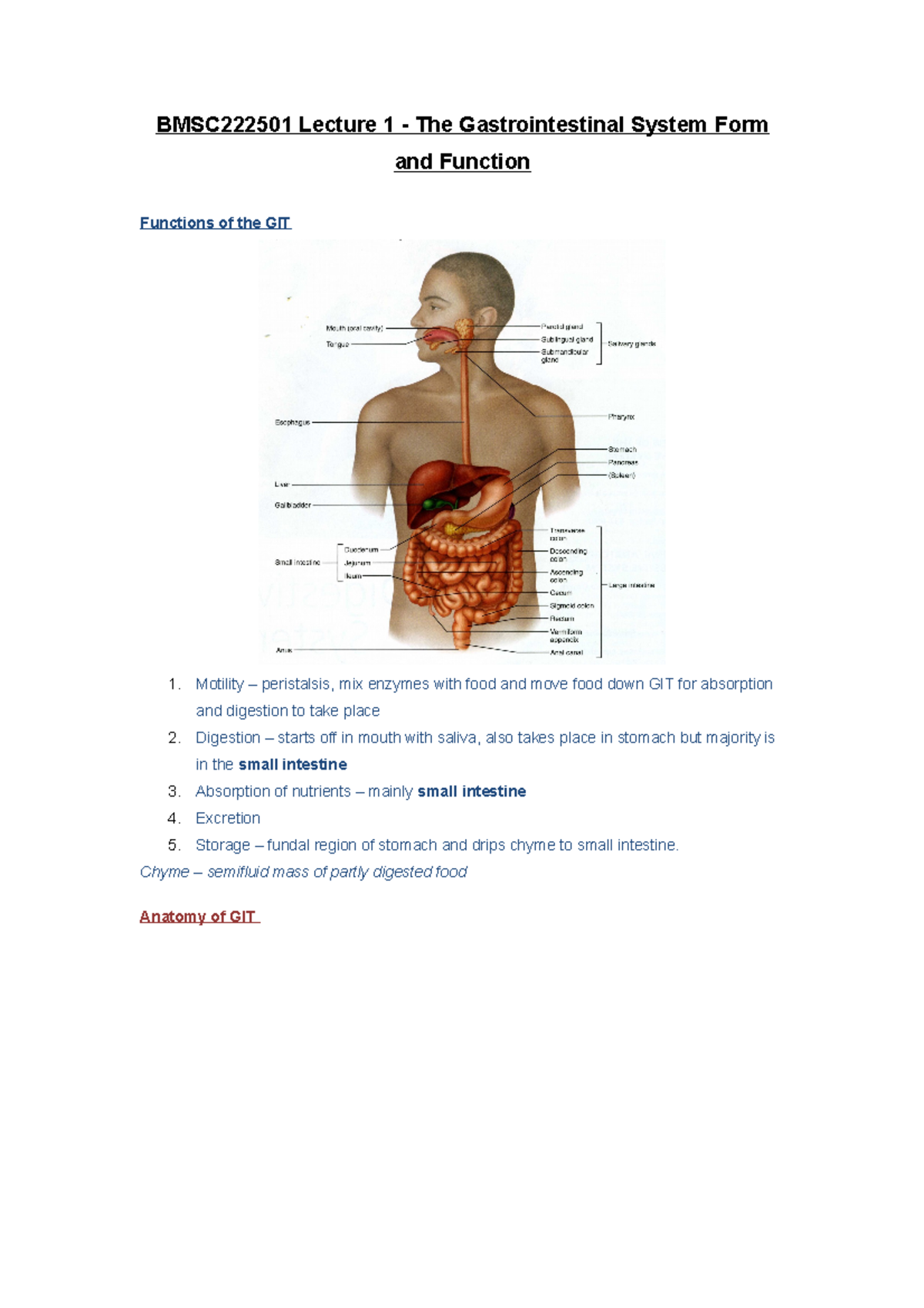 BMSC2225 01 Lecture 1 - Chyme – semifluid mass of partly digested food ...