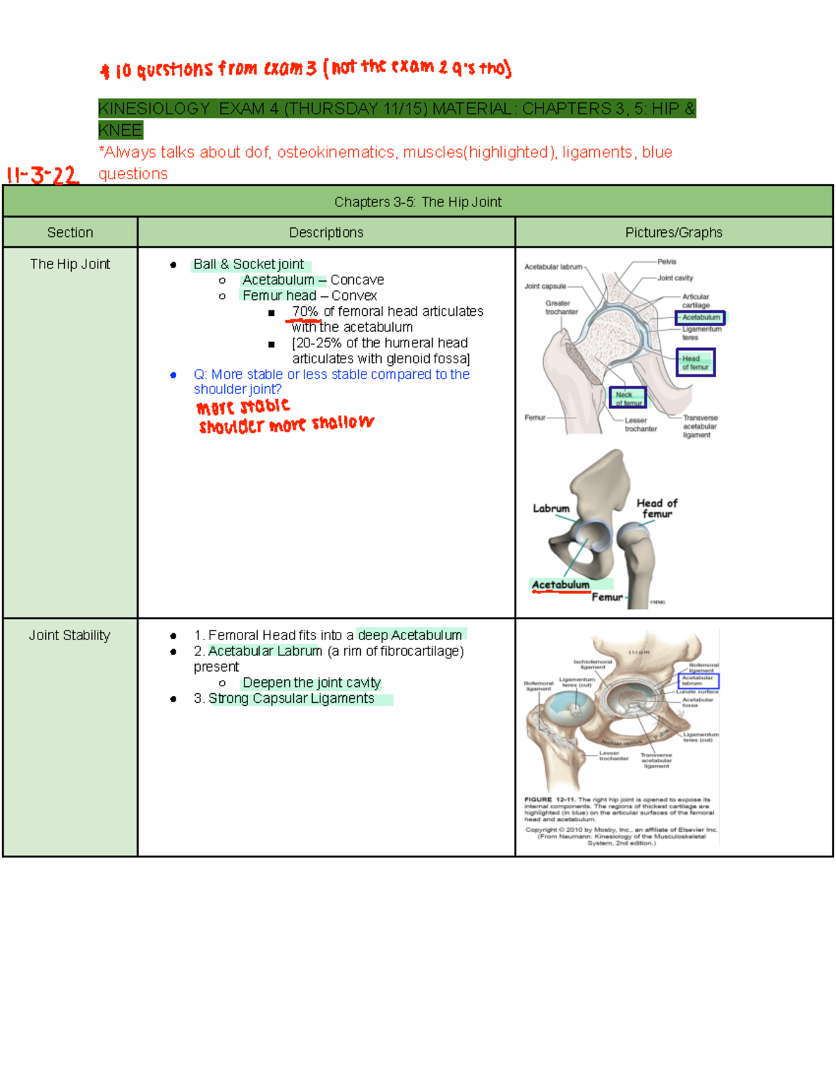 All Exam 4 Notes Hip and Knee Joint - KINESIOLOGY EXAM 4 (THURSDAY 11/ ...