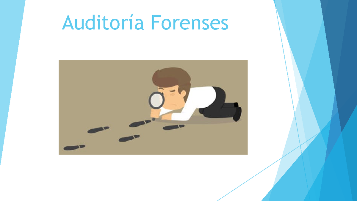 Auditoria Forenses - Auditoría Forense - Auditoría Forenses Es una ...