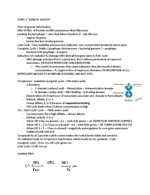 Topic 3 DNA structure and Topology - Topic 3 DNA structure and Topology ...