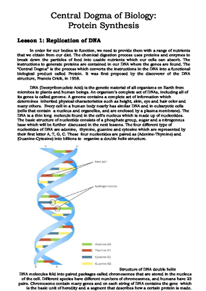 Week 4 Structure and Function of DNA and RNA - Structure and Function ...