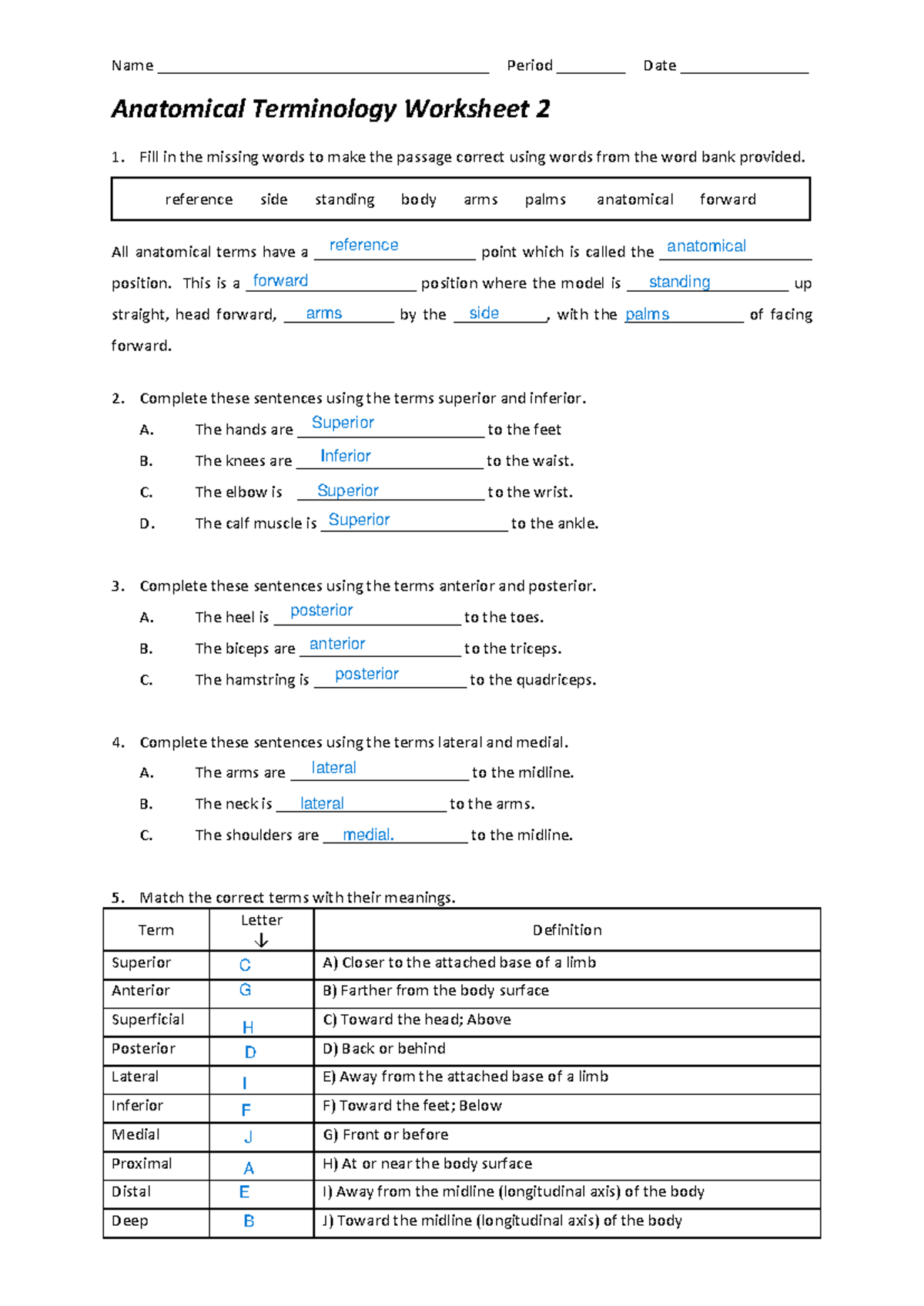 Anat 01 intro worksheet - terminology 2 - Name _______________________________________ Period ...