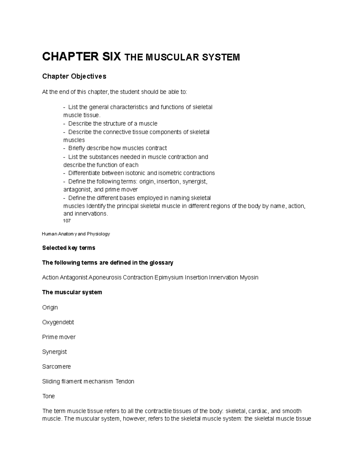Anatomy and Physiology Chapter SIX THE Muscular System - CHAPTER SIX ...