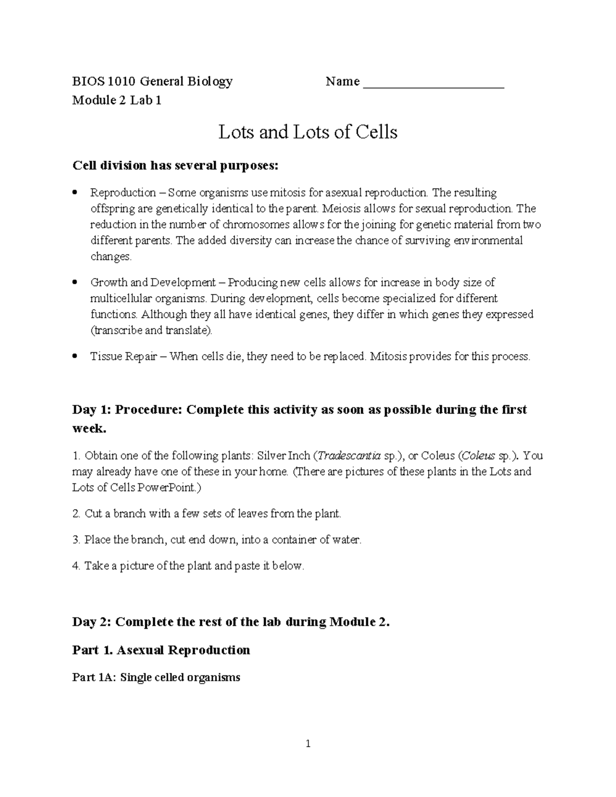 Module 2 Lab 2 Lots and Lots of Cells rev 23SS - BIOS 1010 General ...