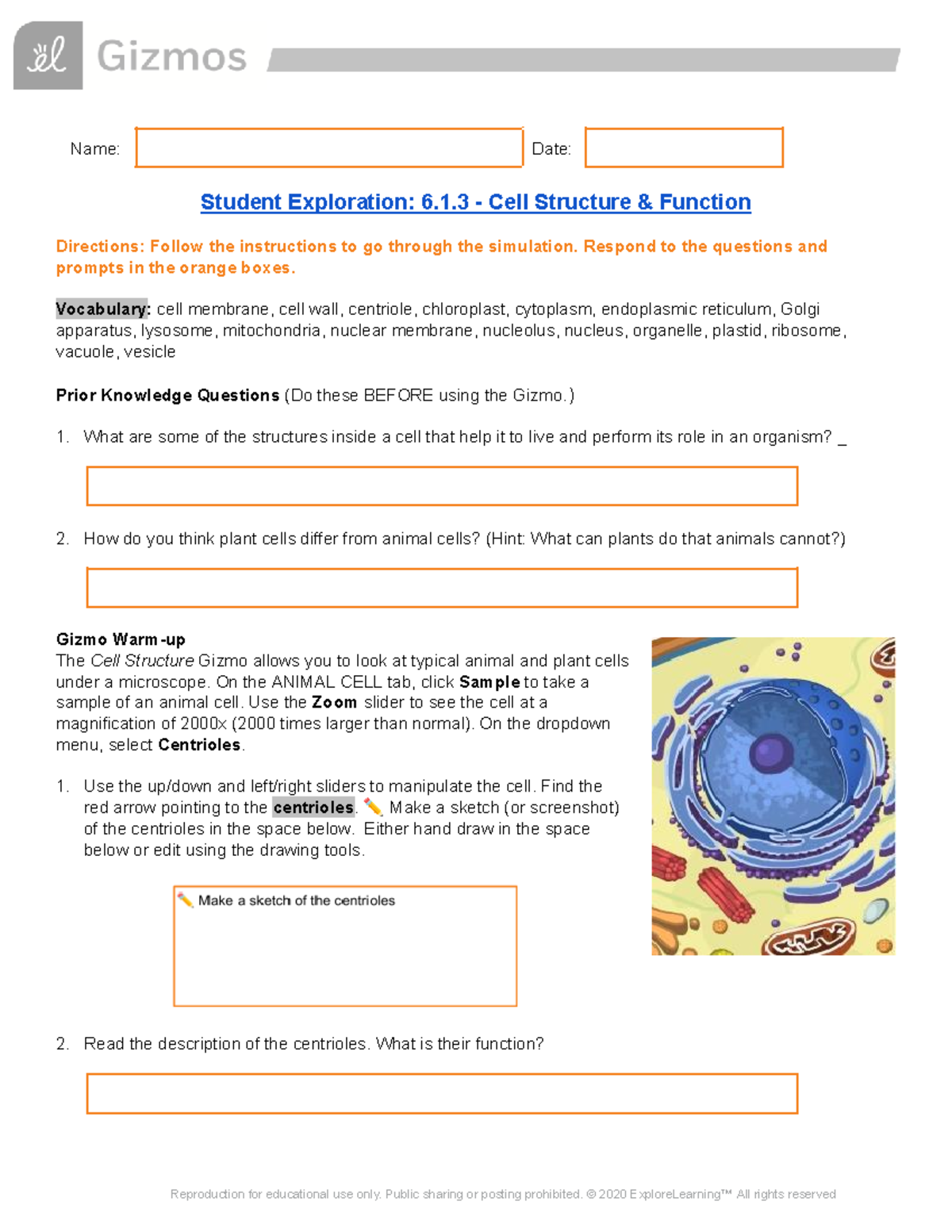 Copy of 6.1.3 - Cell Structure & Function Gizmo - Name: Date: Student ...