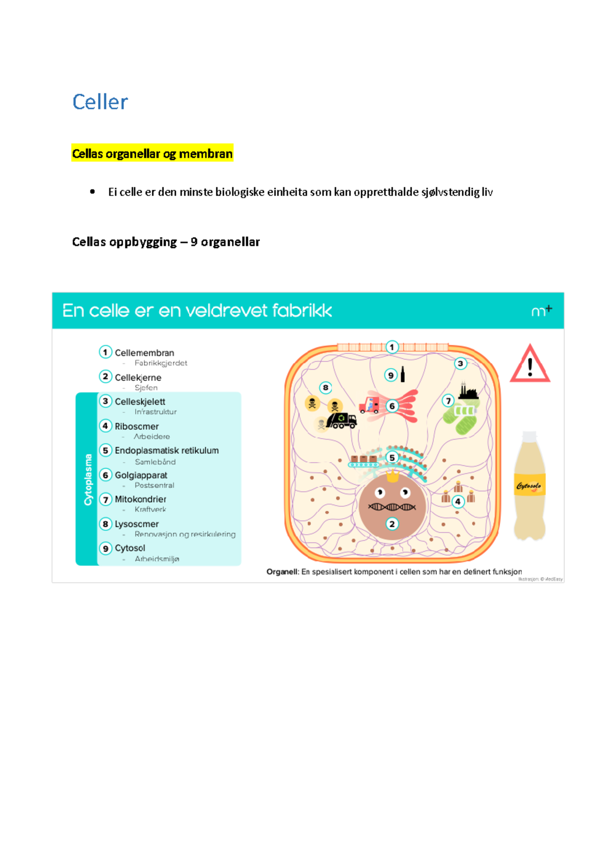 3) Celler - Celler Cellas organellar og membran Ei celle er den minste ...