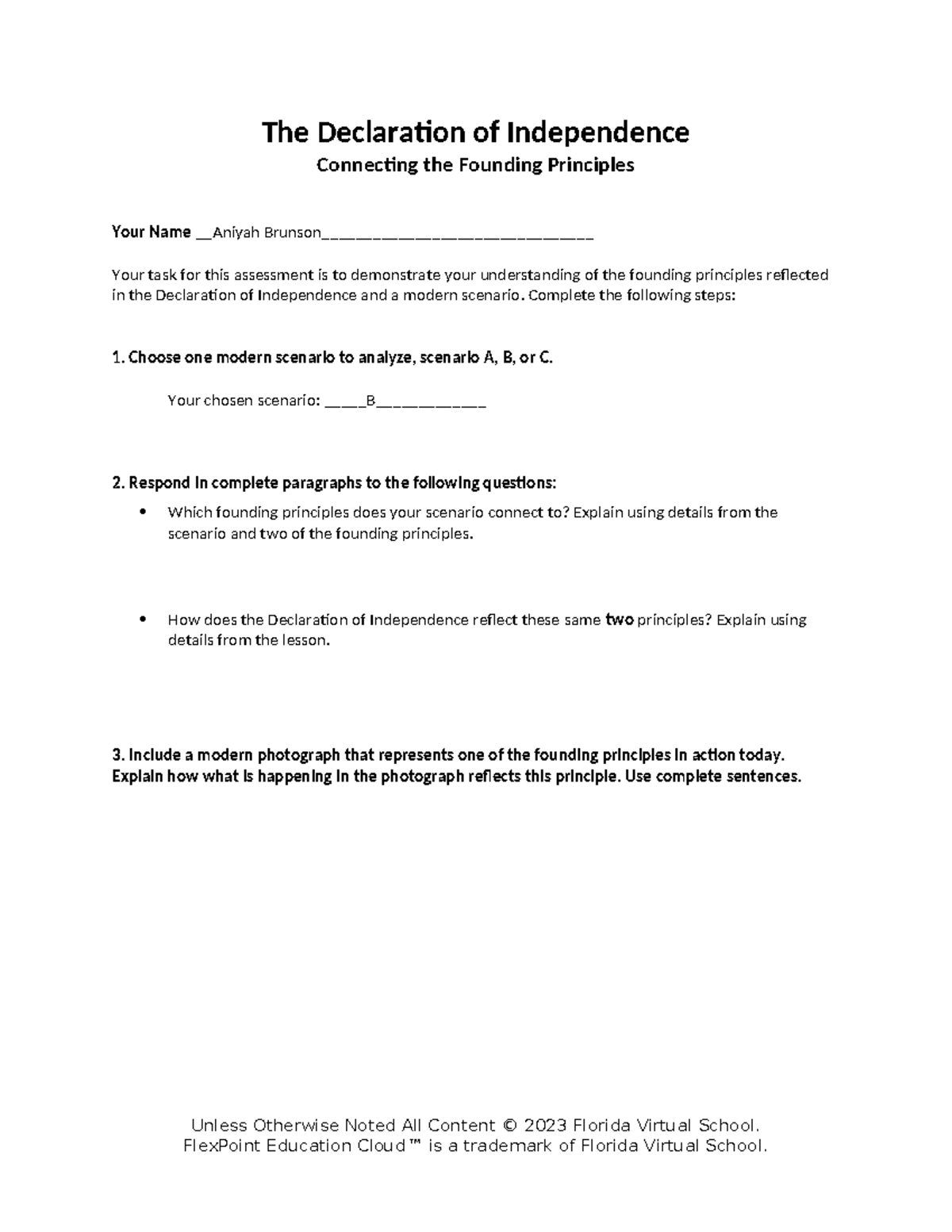 The declaration of independence template - The Declaration of ...