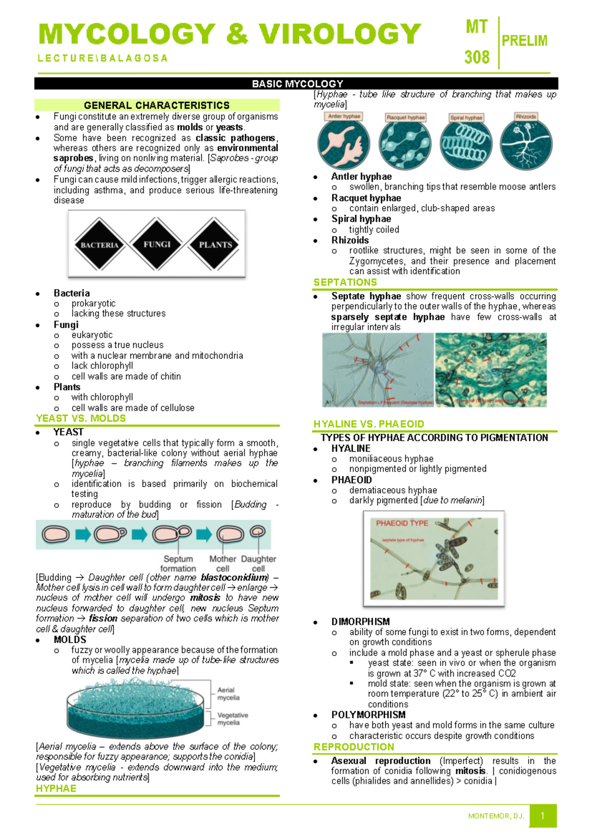 Mycoviro - BASIC MYCOLOGY GENERAL CHARACTERISTICS Fungi constitute an extremely diverse group of ...