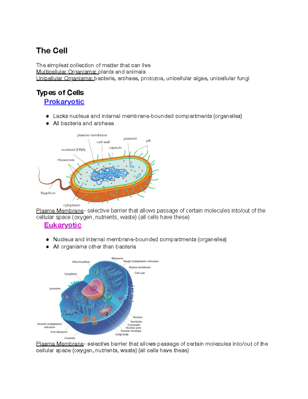 The Cell - asci 112 - The Cell The simplest collection of matter that ...