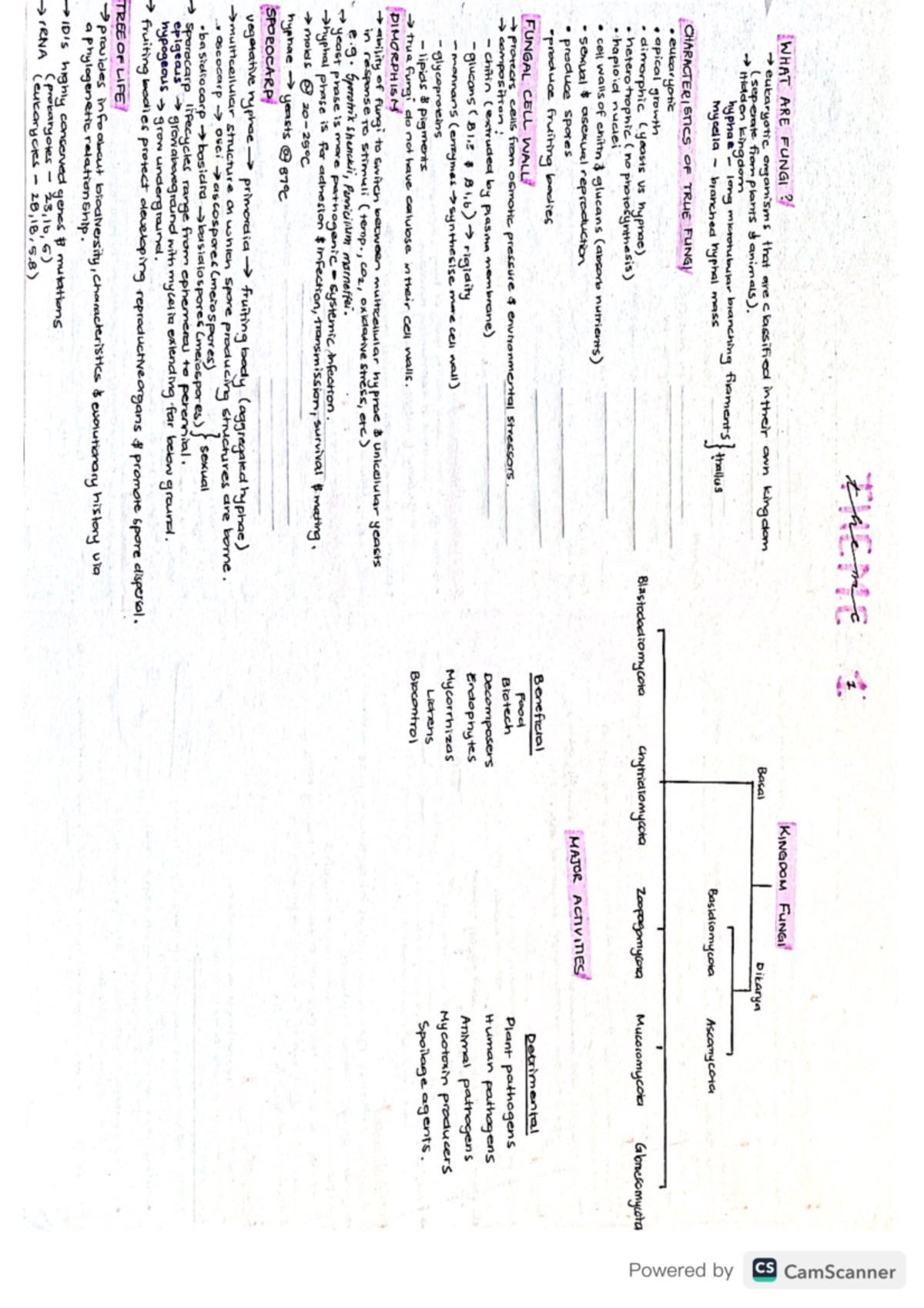 MBY 261 Theme 1-15 - Merged notes - MBY 261 - Studocu