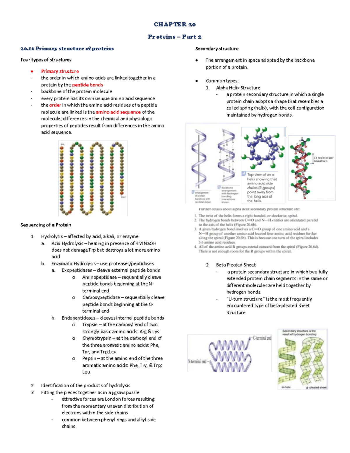 Stoker Chapter 20 Proteins Part 2 - CHAPTER 20 Proteins – Part 2 20 ...