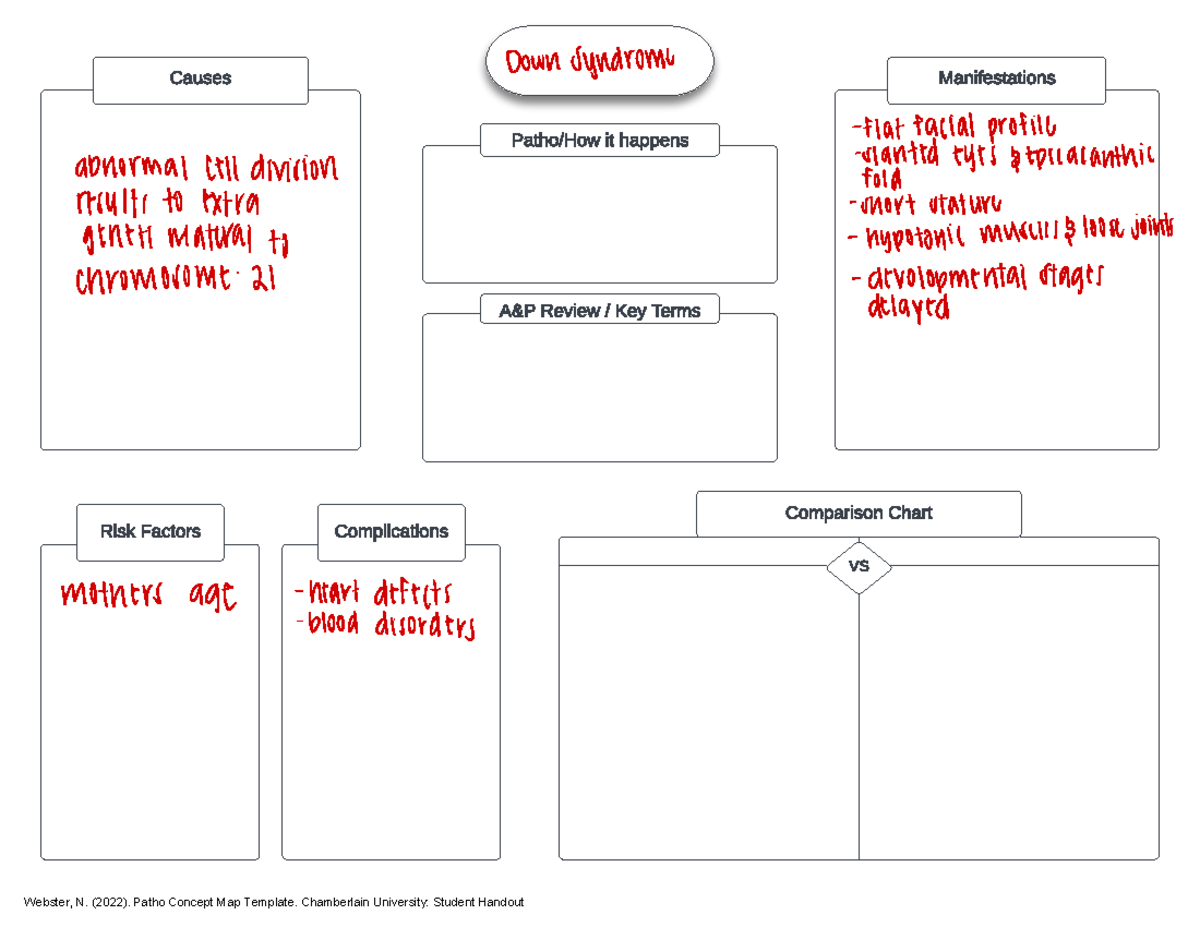 Patho+Concept+Map - A&P Review / Key Terms Causes Risk Factors ...