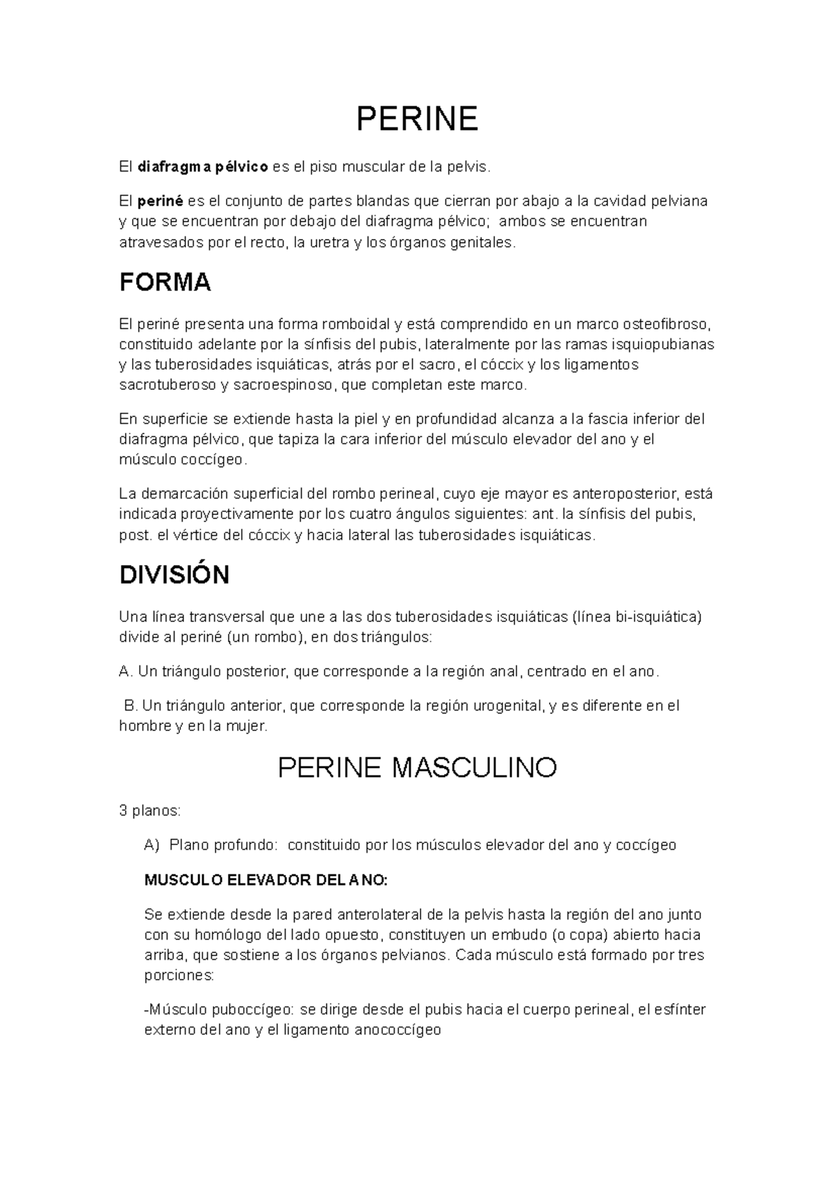 TPN6 Abd - perine - PERINE El diafragma pélvico es el piso muscular de ...