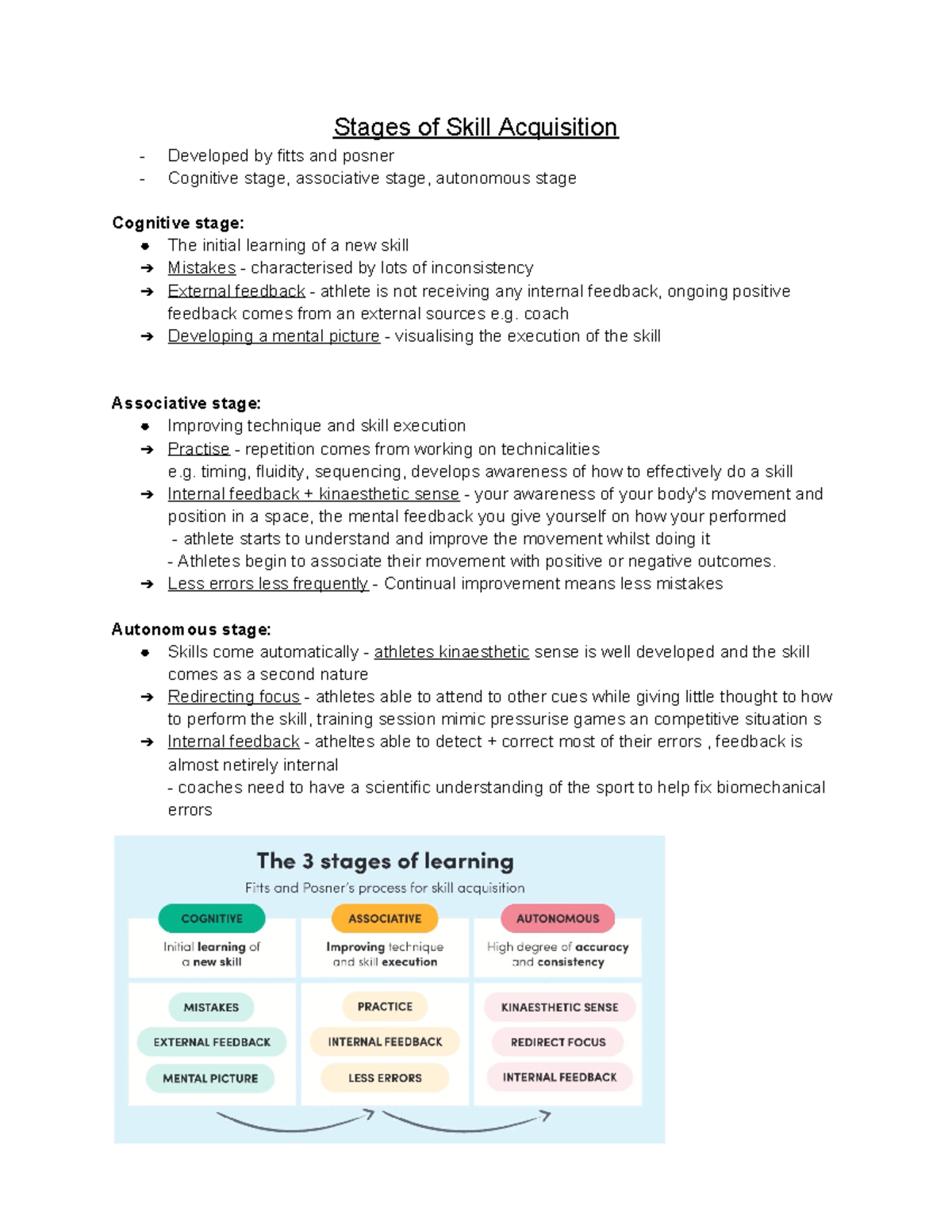 Stages of Skill Aquisation notes - Stages of Skill Acquisition ...