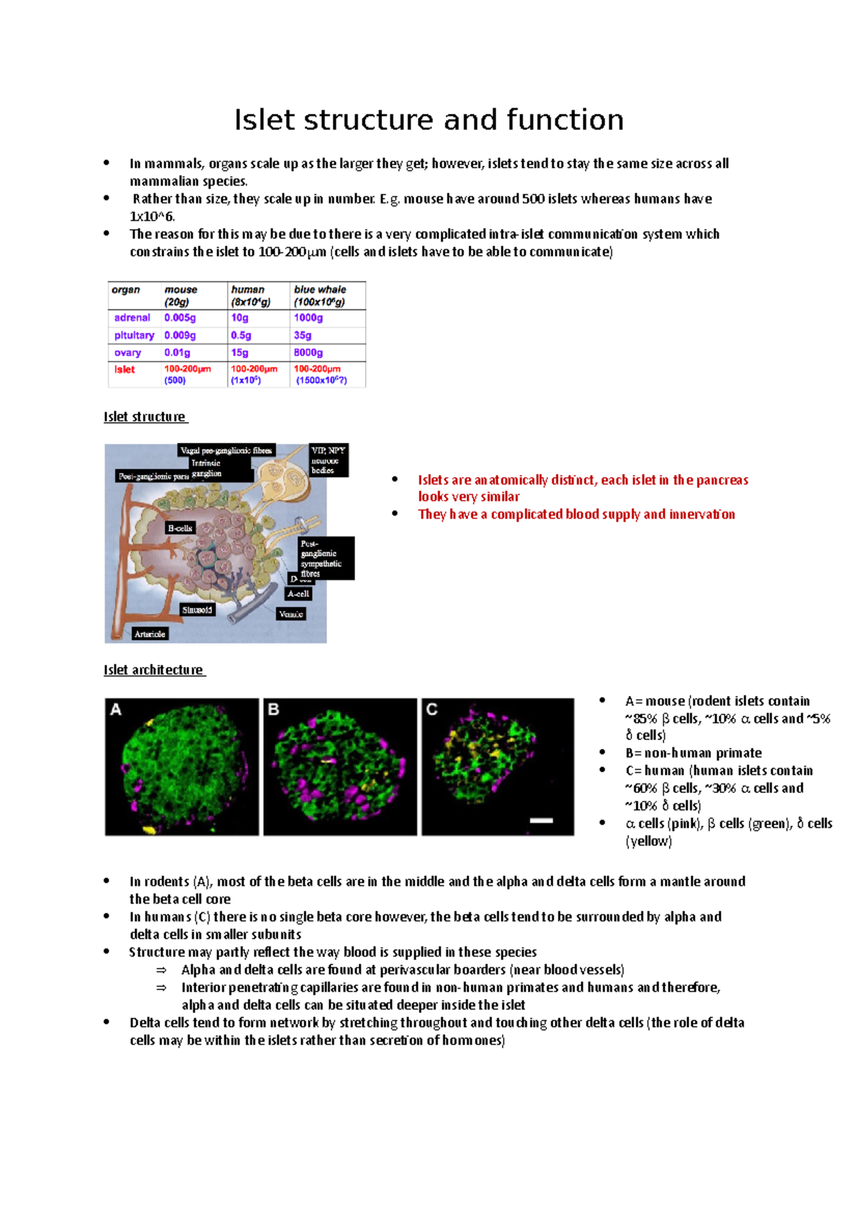 Islet structure and function - Rather than size, they scale up in ...