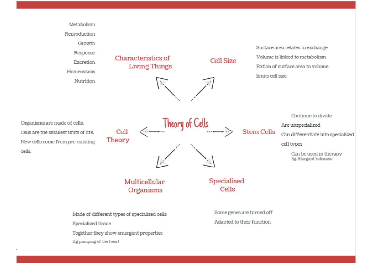 Topic 1 - Cell Biology - mindmap - ‘ - Studocu
