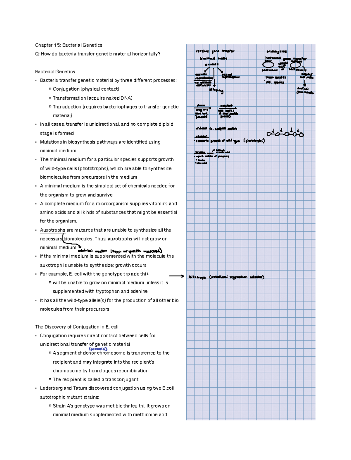 Note Feb 7, 2022 - Post AP Biology: Genetics class notes - Chapter 15 ...