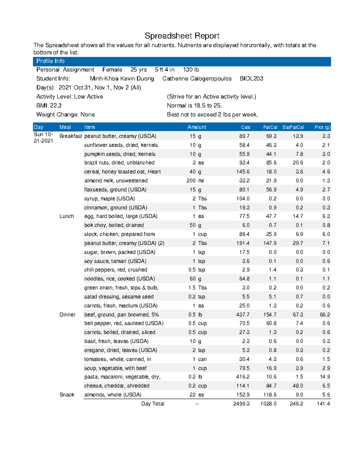 Spreadsheet assignment patient - Spreadsheet Report The Spreadsheet ...