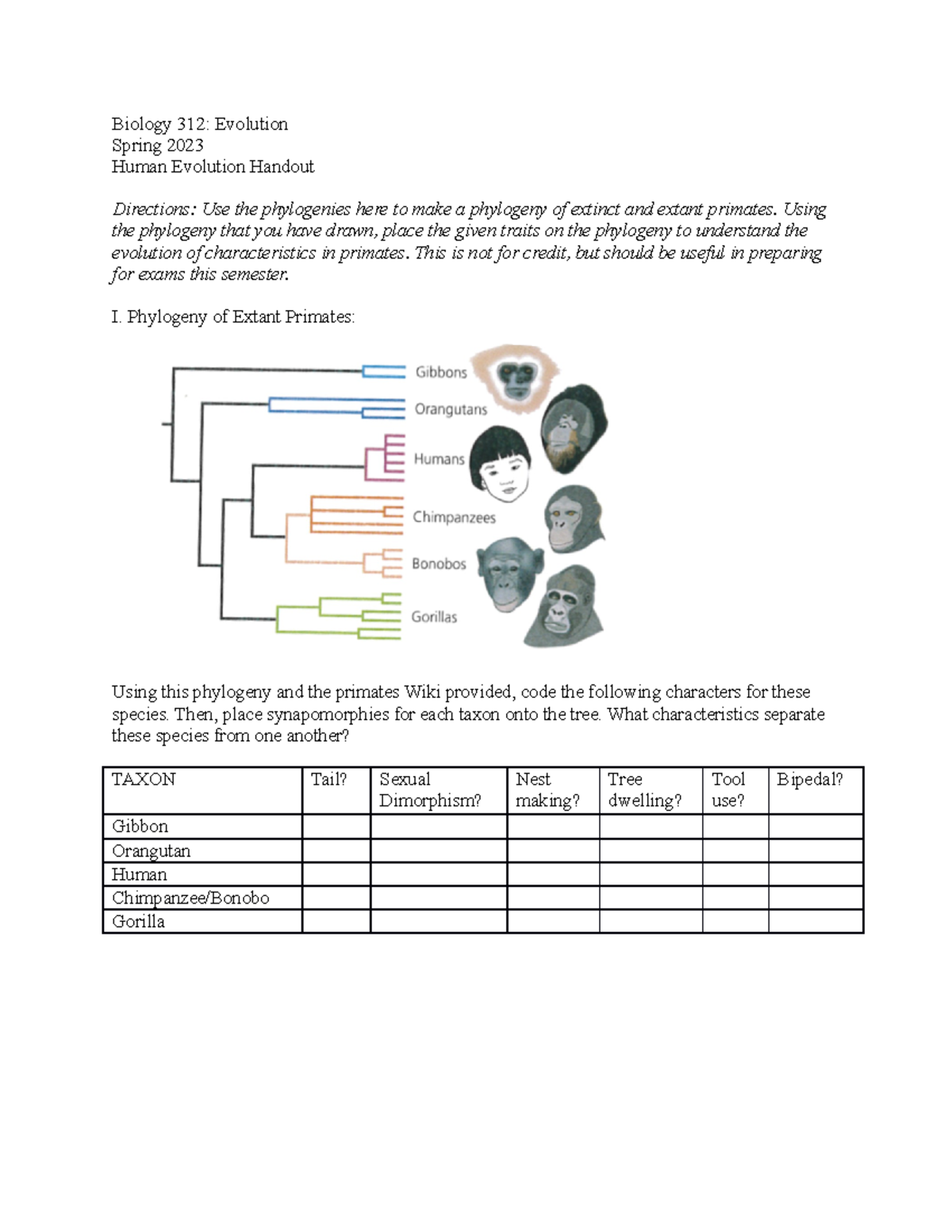 Primate Handout 1(1) - This was classwork with Dr. Simmons. - Biology ...