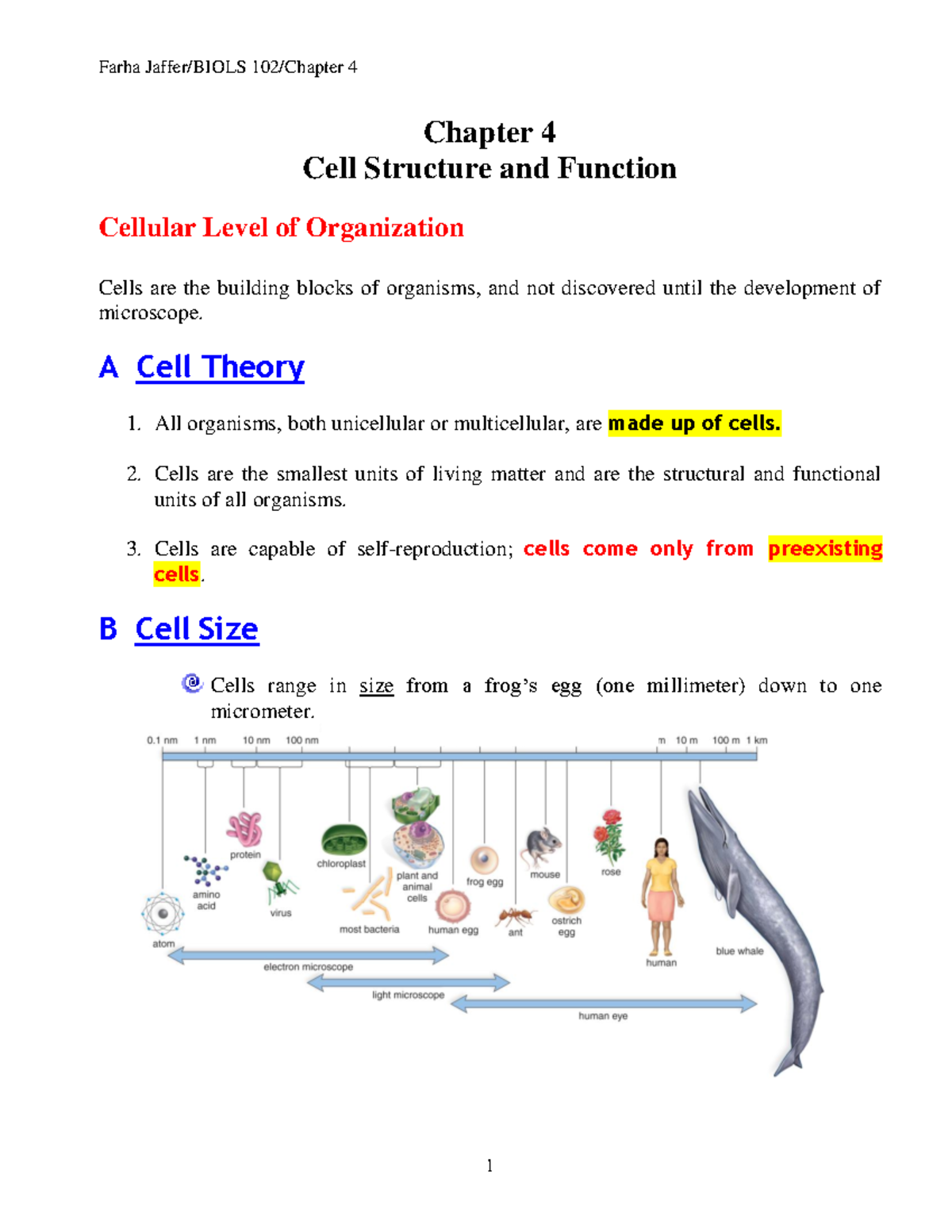 Chapter 4 outline - slides - Chapter 4 Cell Structure and Function Cellular Level of ...