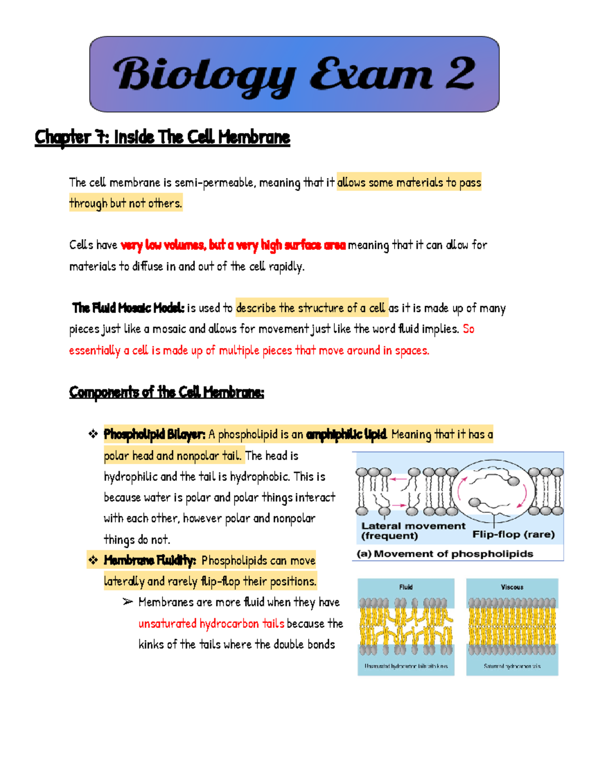 BIO 202 Exam 2-3 - Study Guide - Chapter 7: Inside The Ce Membrane The ce membrane is - Studocu