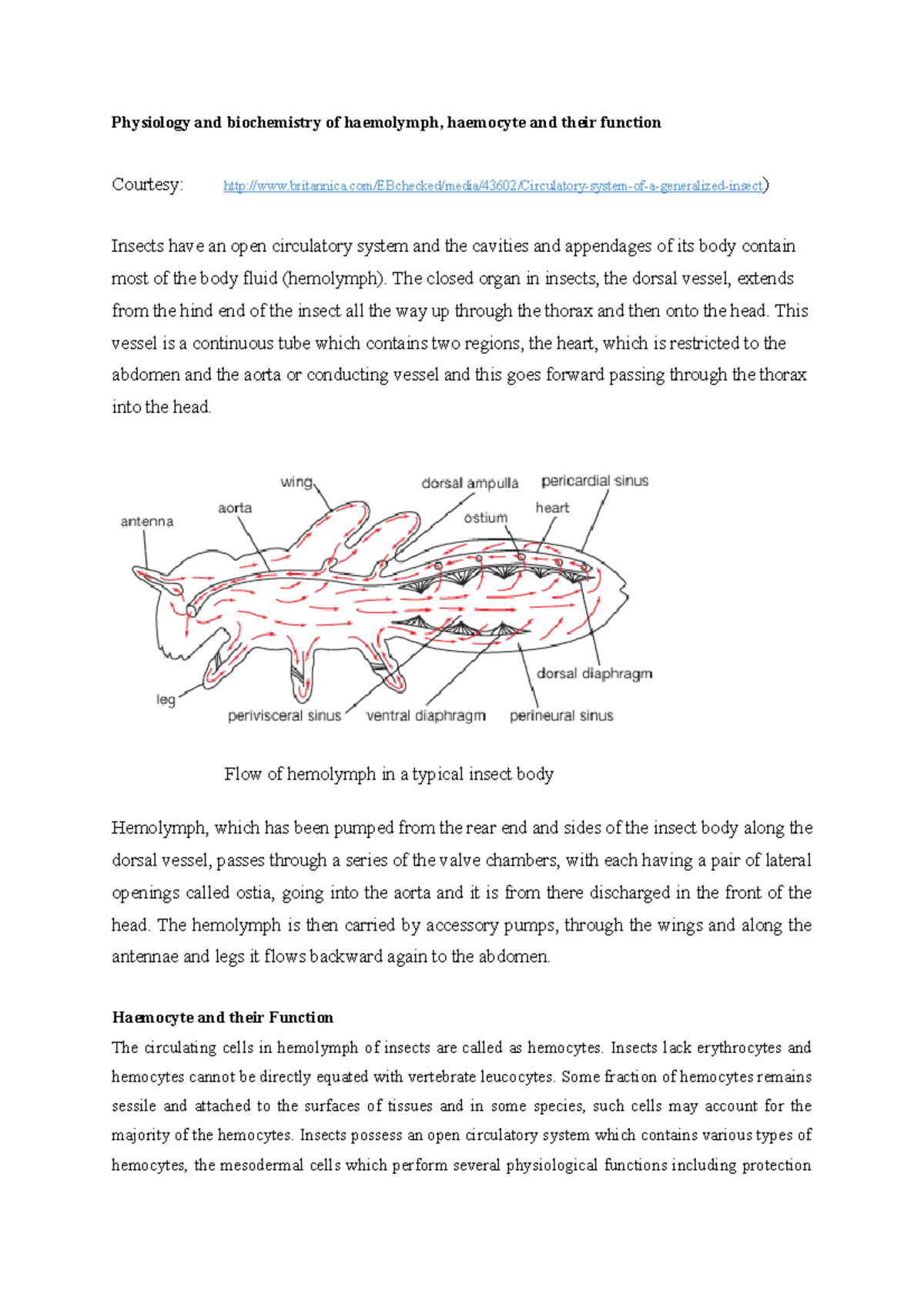 Physiology of Circulation - Physiology and biochemistry of haemolymph ...