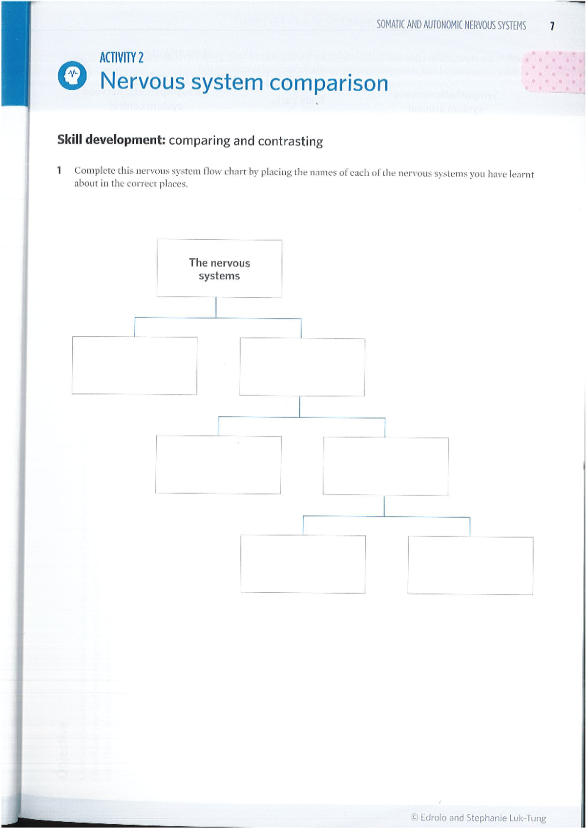 Activities - Nervous System - Studocu
