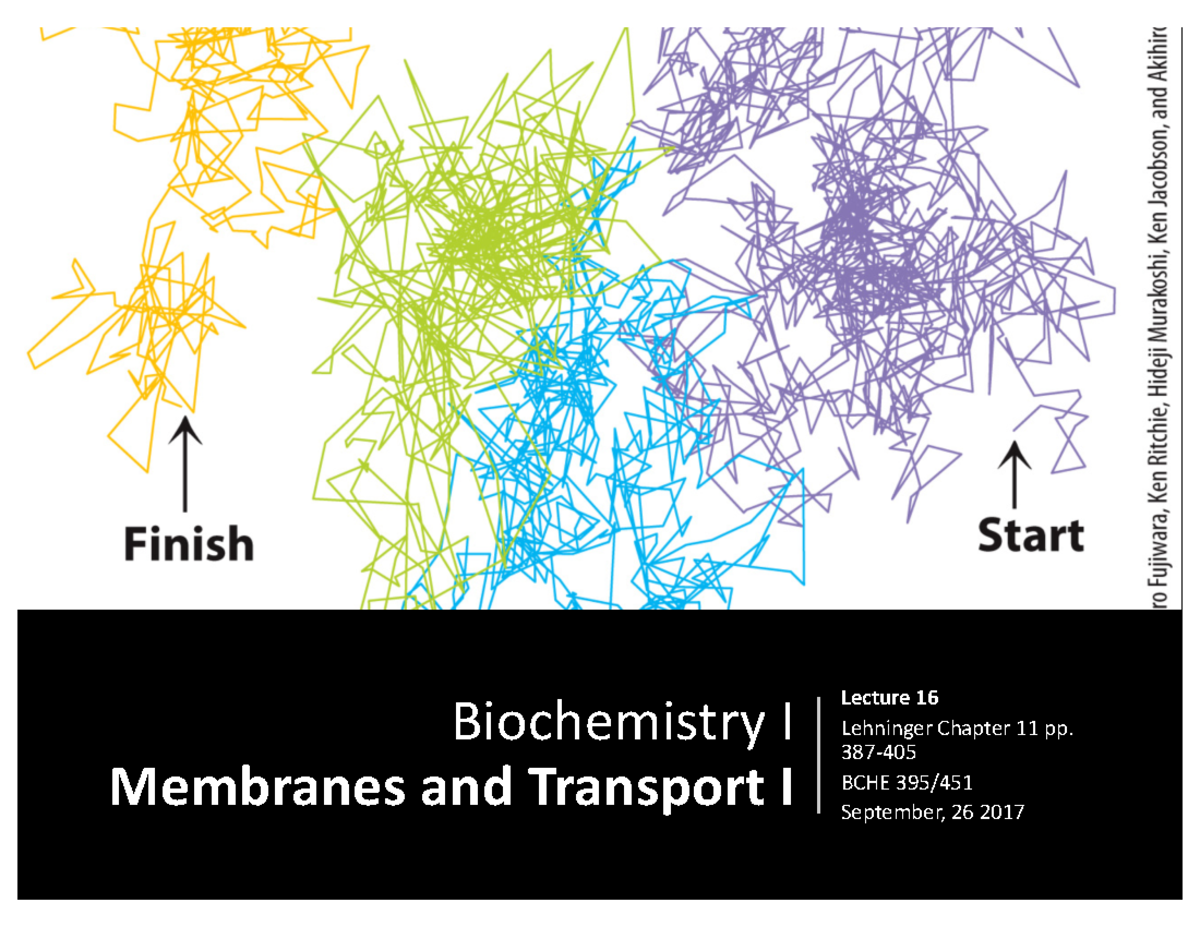 Membranes and Transport I - Biochemistry I Membranes and Transport I ...