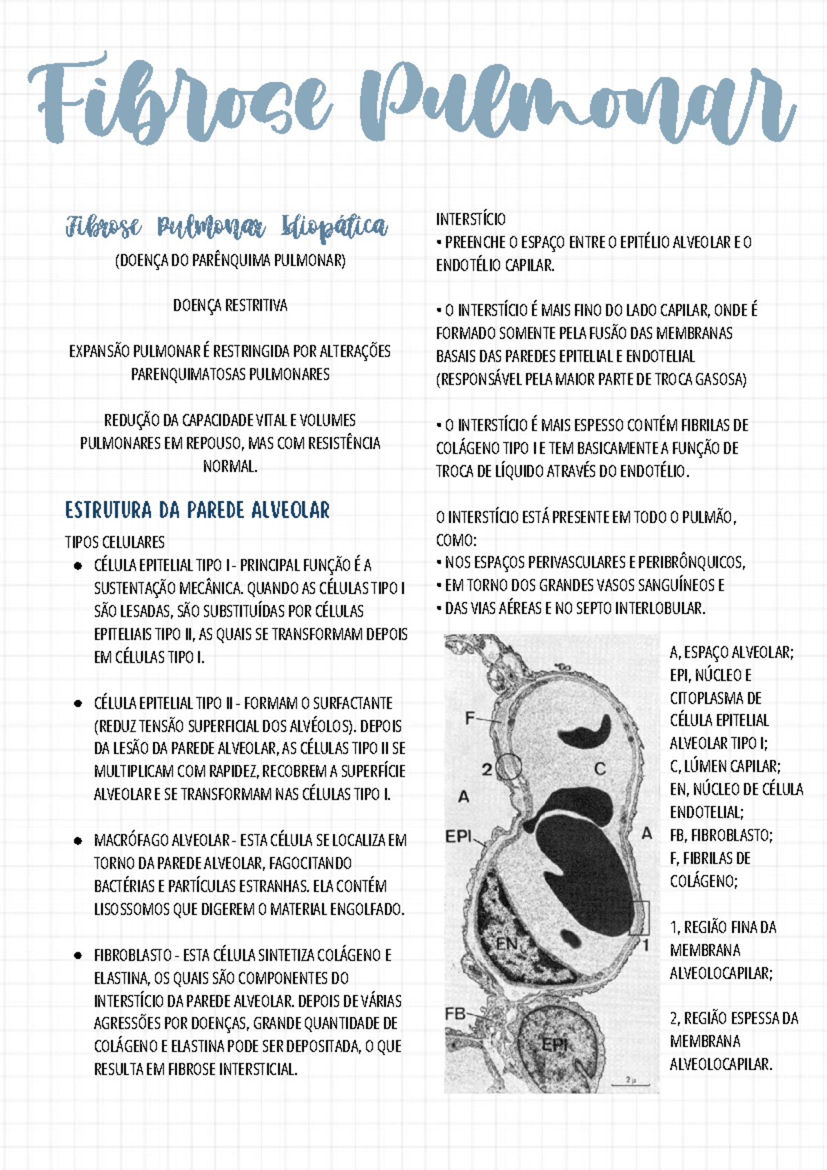 Fibrose Pumonar - Fibrose Pulmonar ESTRUTURA DA PAREDE ALVEOLAR TIPOS ...