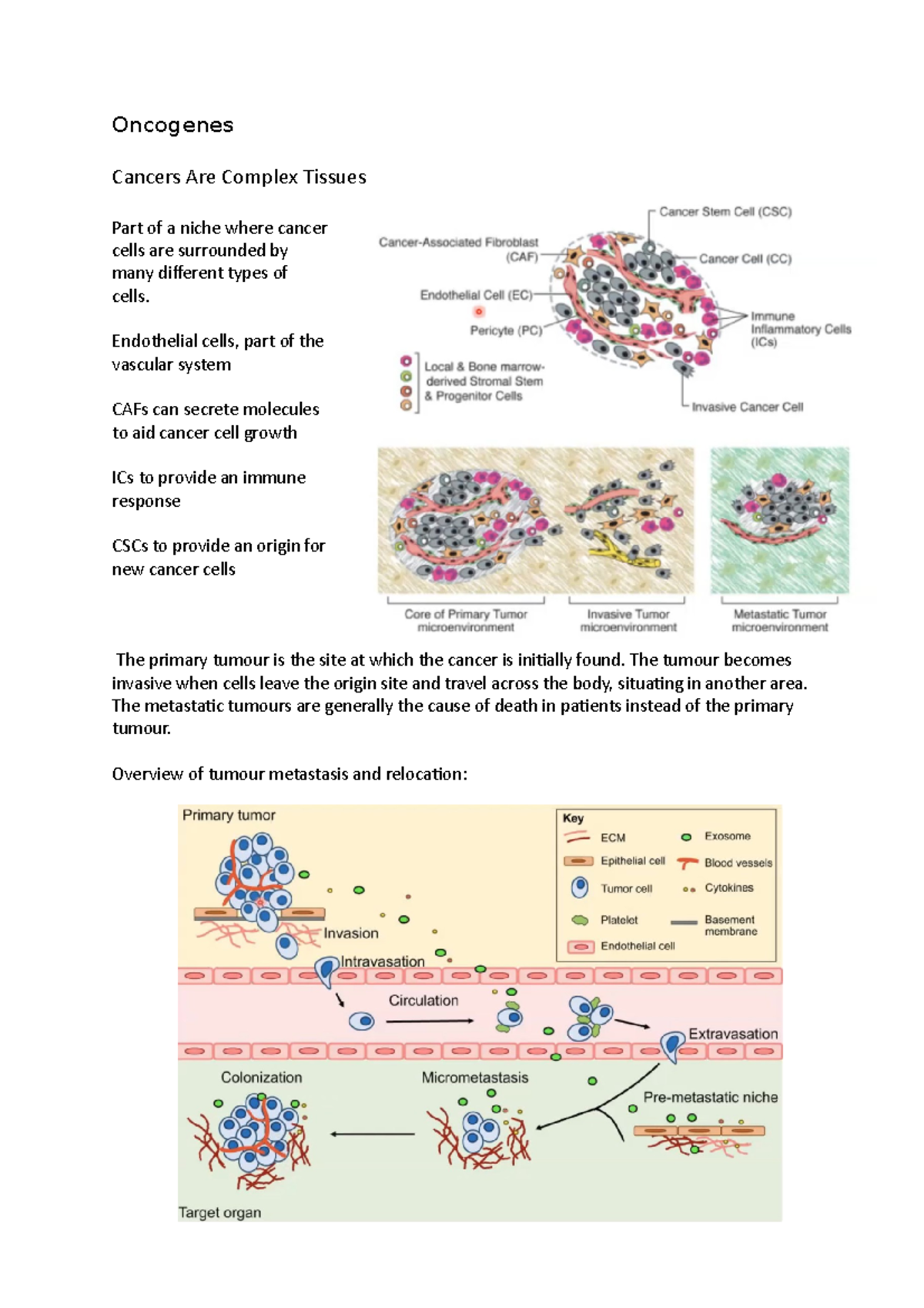 Understanding Oncogenes and Cancer Metastasis - Studocu