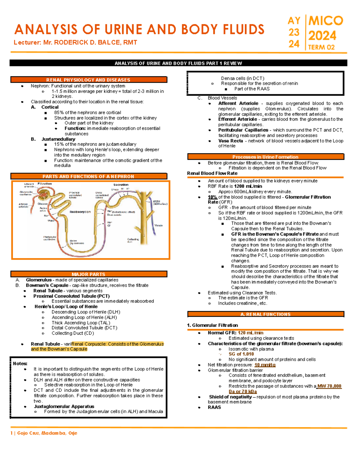 Analysis of Urine and Body Fluids Part 1 - ANALYSIS OF URINE AND BODY ...